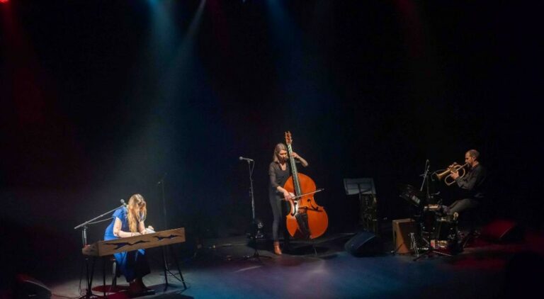 La gravité et la dérision de Liz Van Deuq - La Gazette